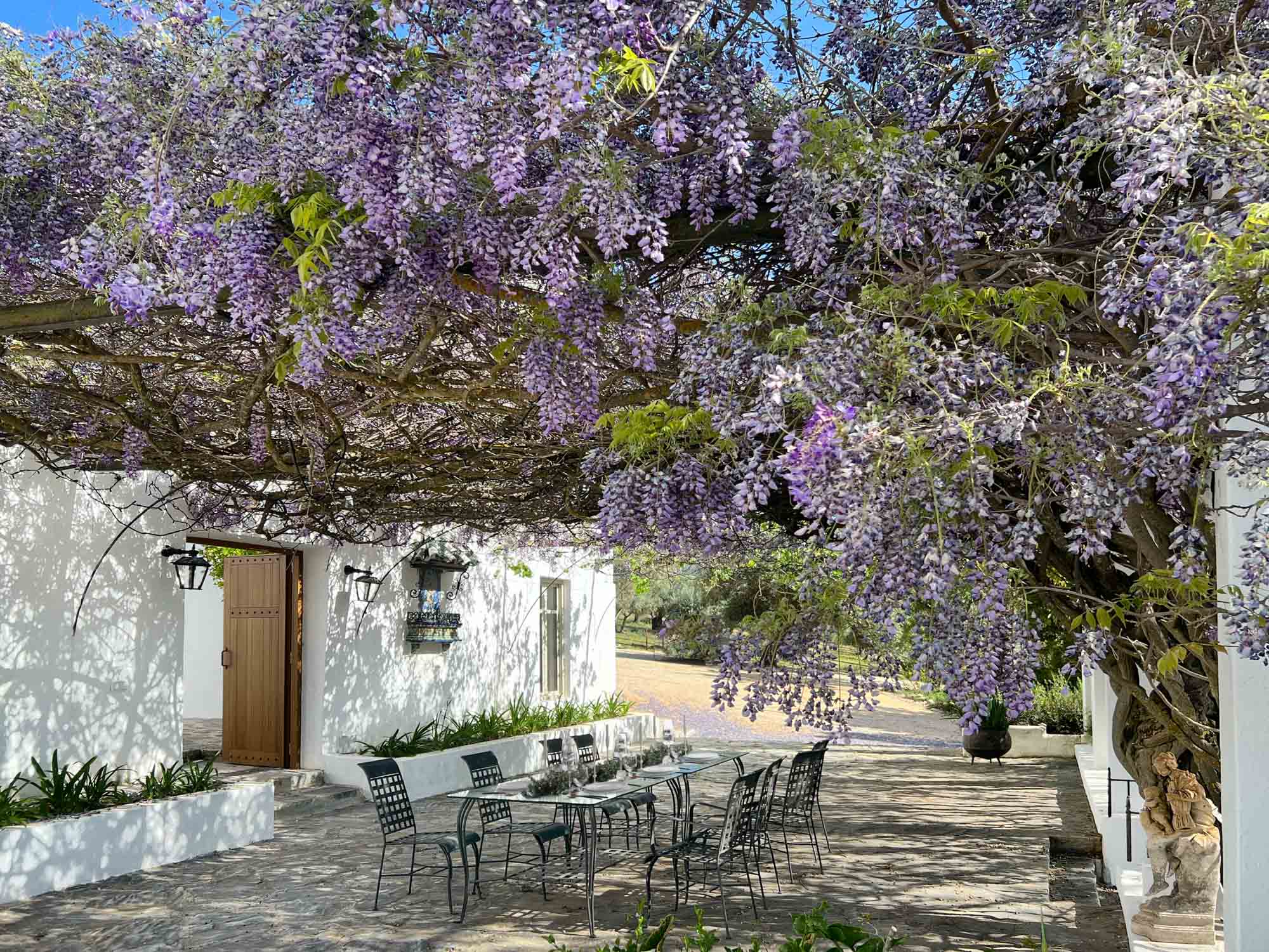 Villa Sofia 6-Bed Villa in Ronda sleeps 16 - The Luxury Villa Collection