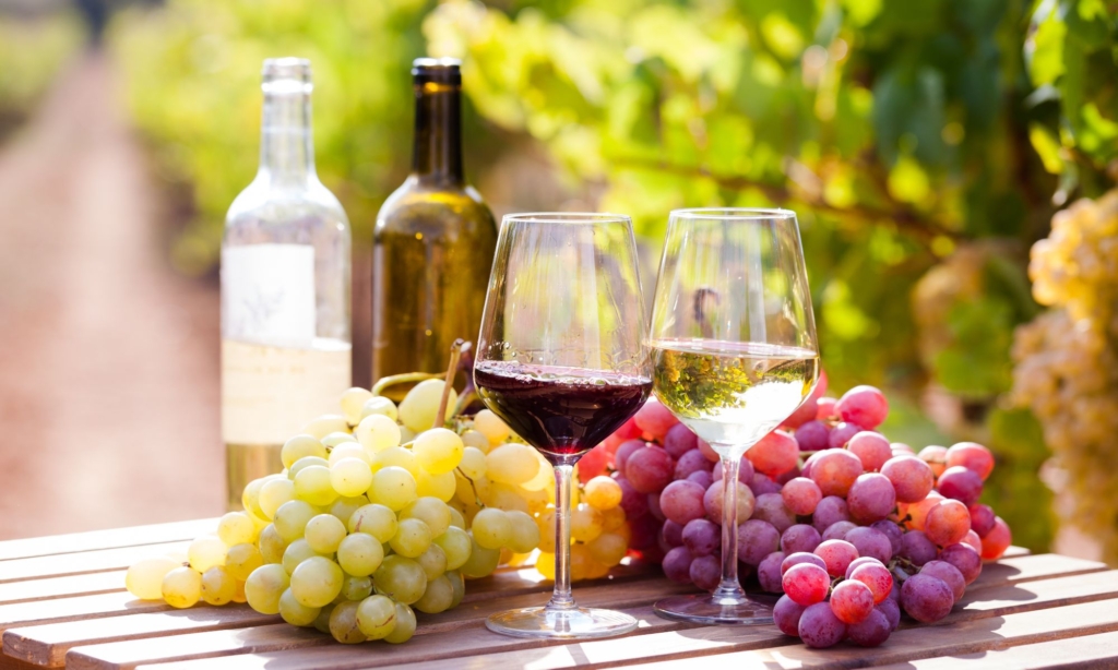 The Best Spanish Wine Regions You’ve Never Heard Of | The Luxury Villa ...