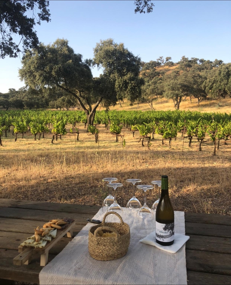 Wine Tasting in Ronda | Wine tours | The Luxury Villa Collection